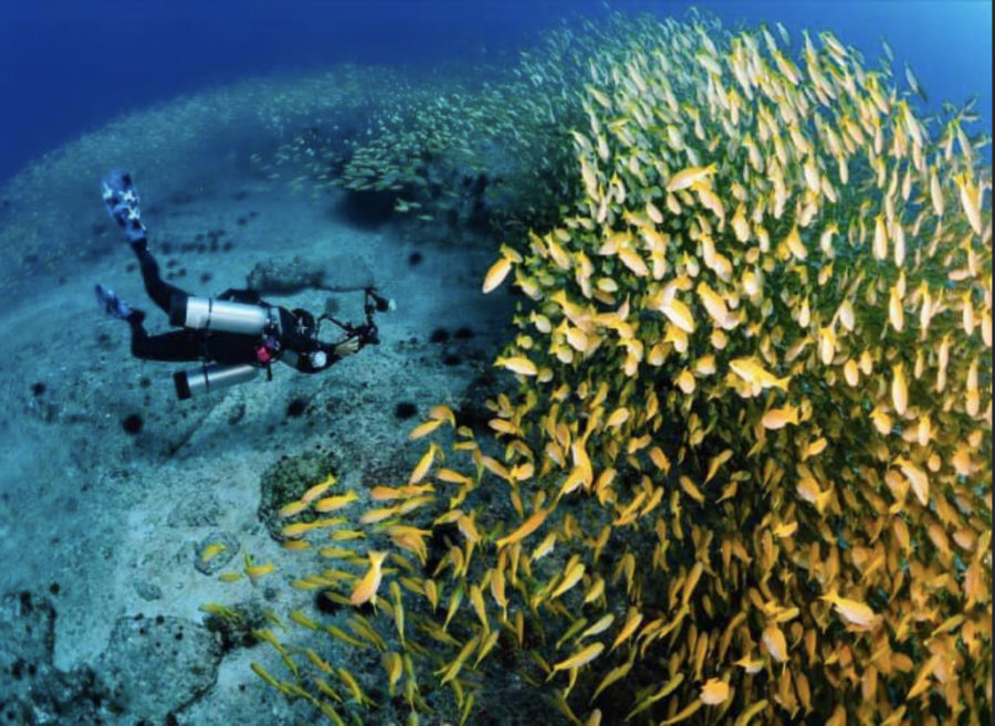 Dive Sites Map | Equinoxe | École Seychelloise de Plongée